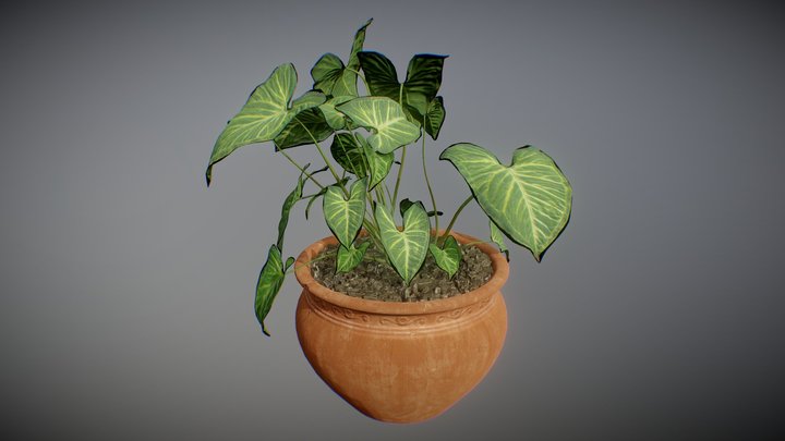 Pot 3D models - Sketchfab
