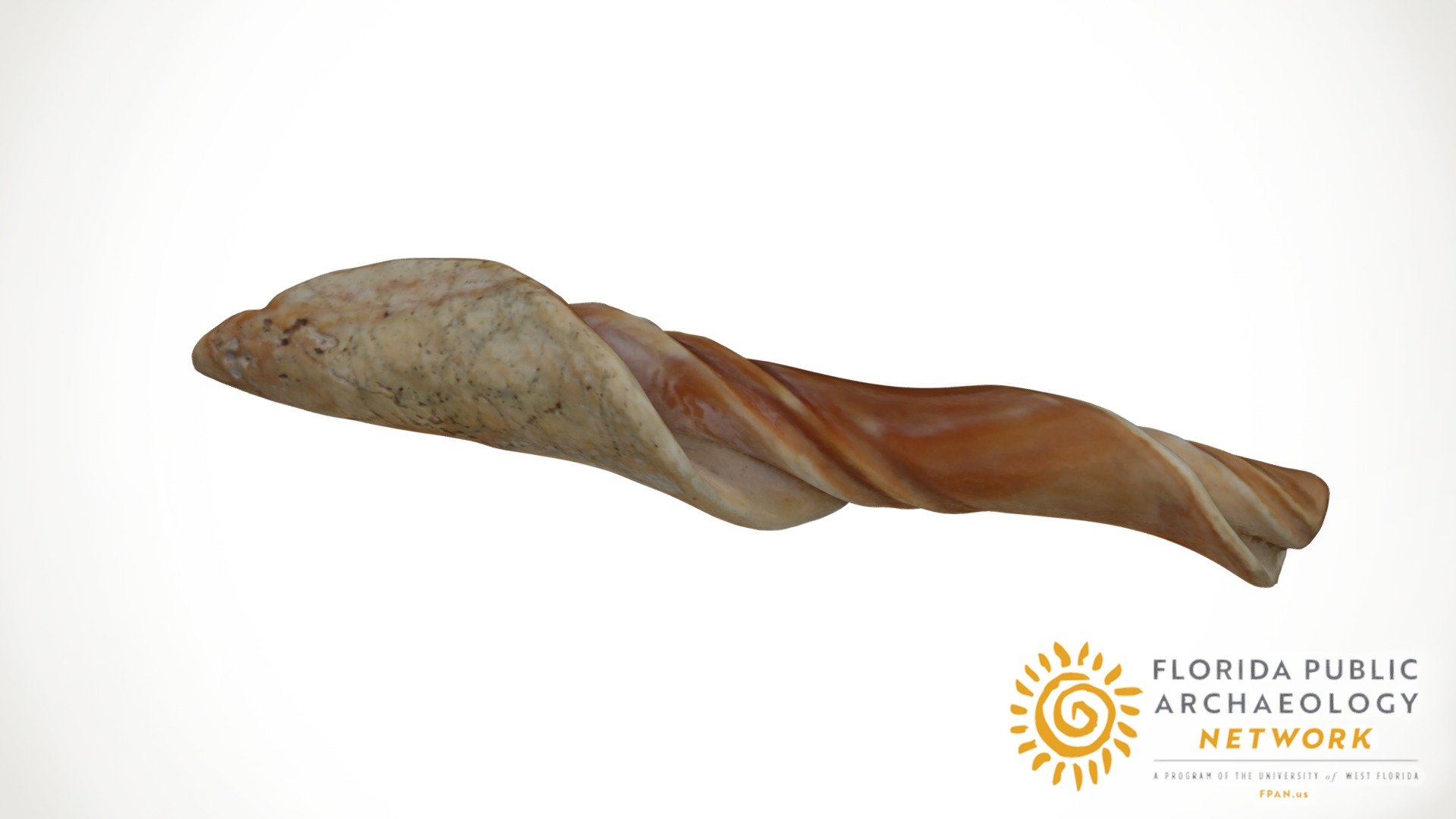 ArchaeoBootcamp Columella - 3D model by Florida Public Archaeology ...