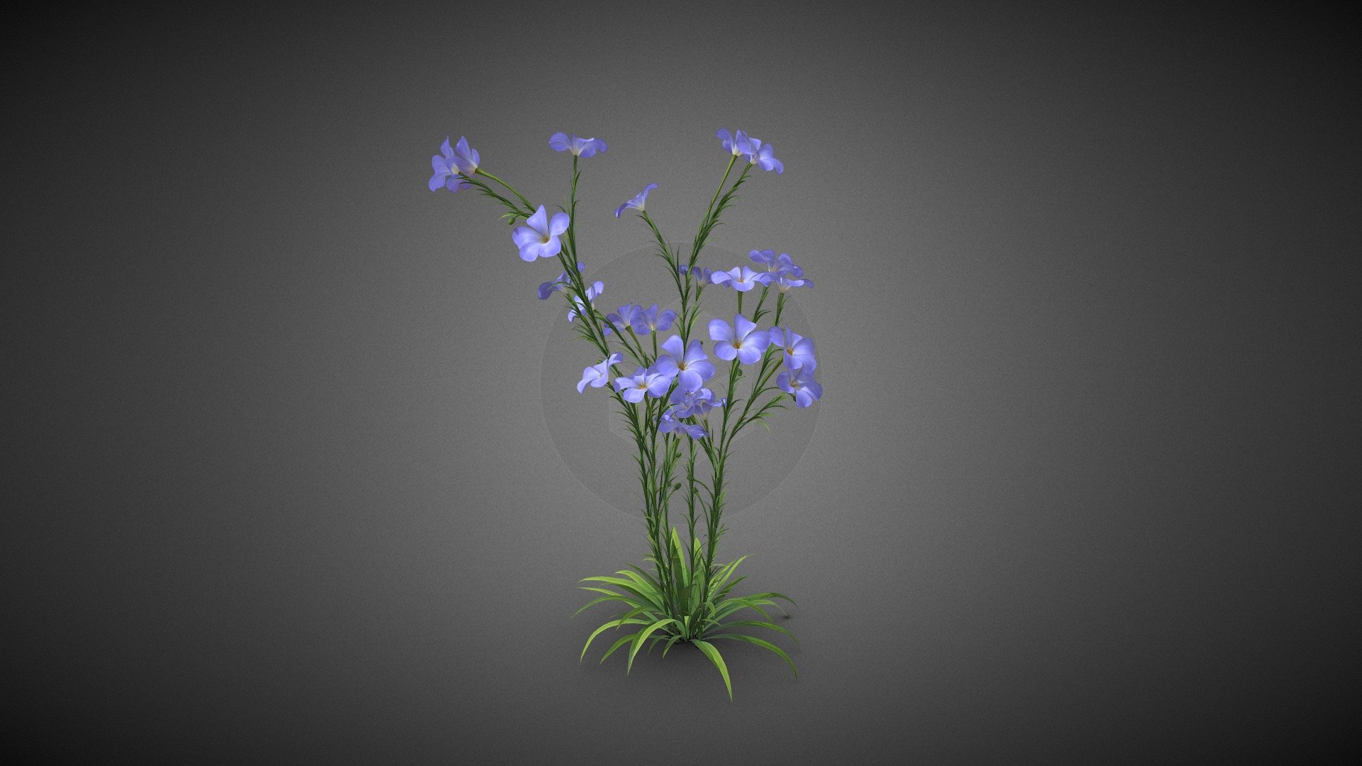 flower plant - Buy Royalty Free 3D model by misitewang [141b7d6 ...