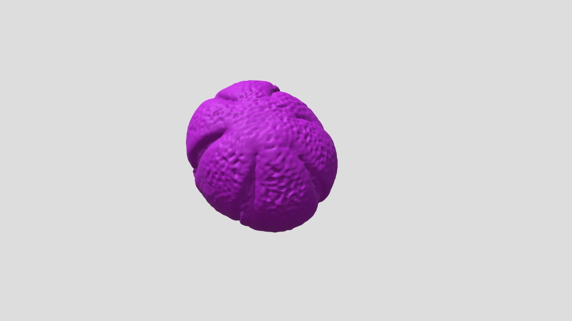 Oregano (Origanum vulgare) pollen grain - 3D model by Cardiff ...