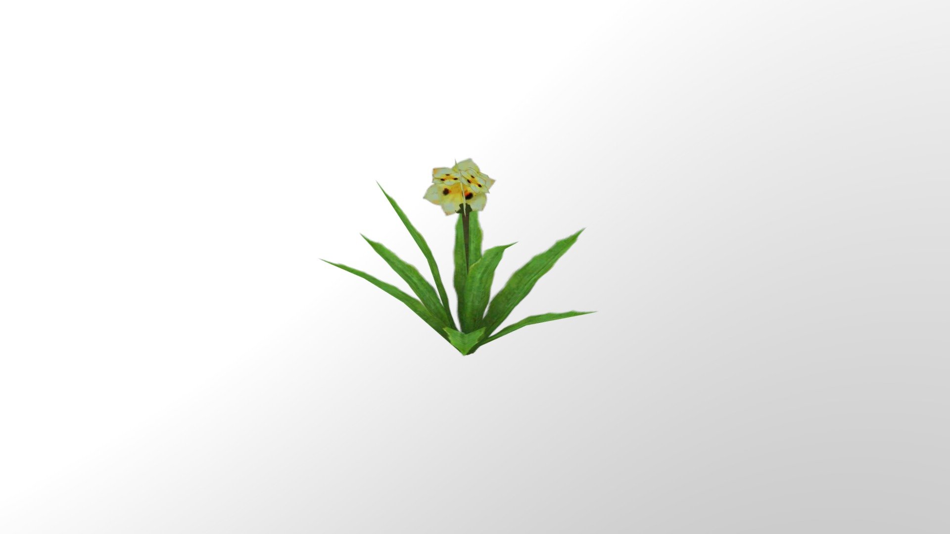 Plant - Download Free 3D model by Khyoocumber [142a335] - Sketchfab