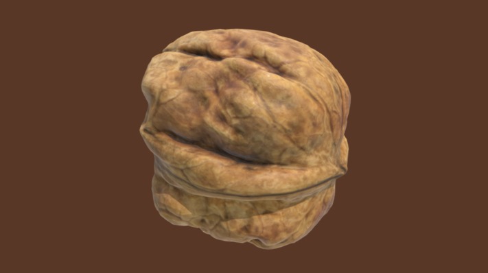 Walnut - 3D model by Fabian Schempp (@fabianschempp) [142dc5b] - Sketchfab