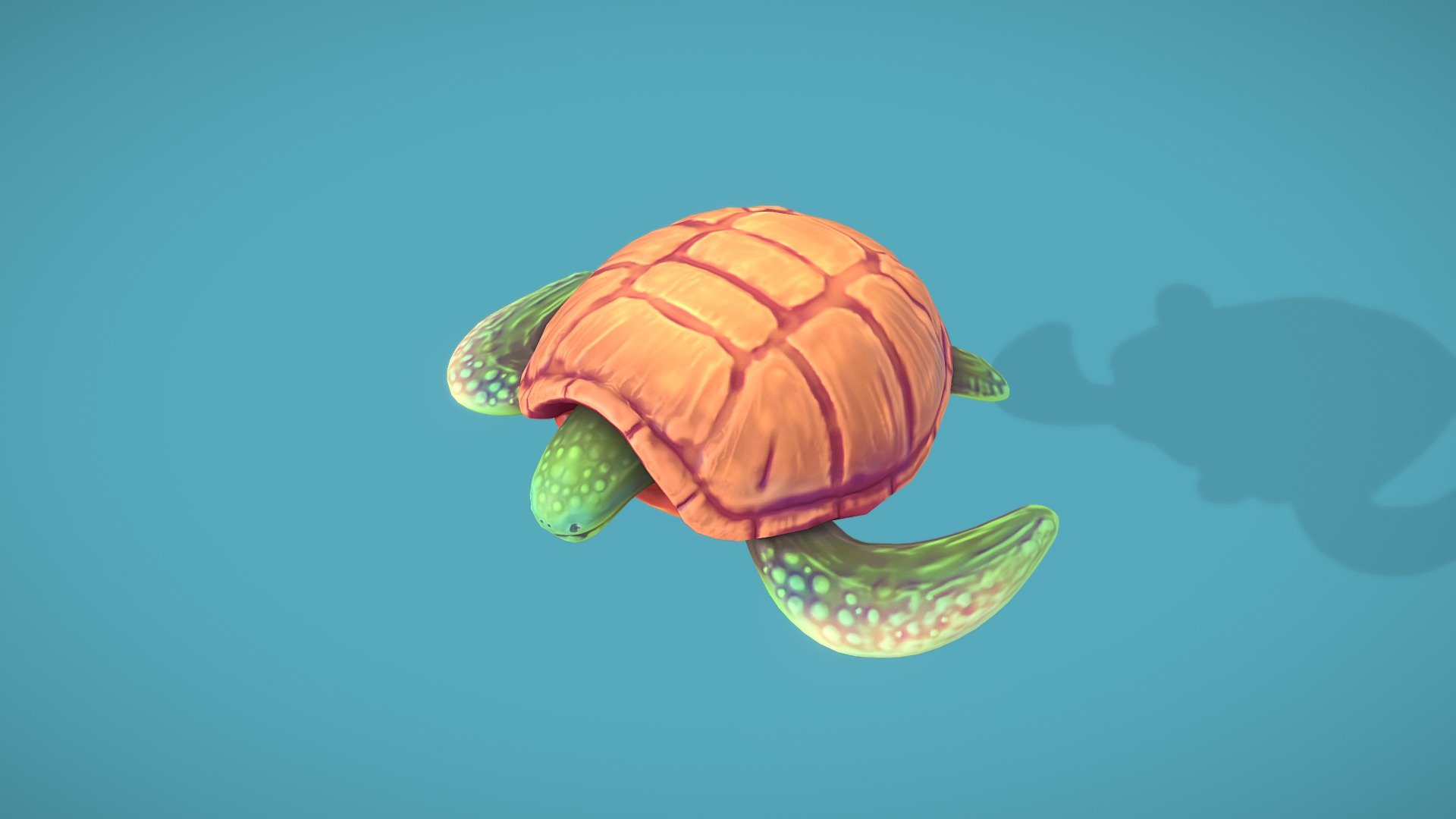 Patsy the Turtle - Download Free 3D model by LordCinn [142e5d4] - Sketchfab
