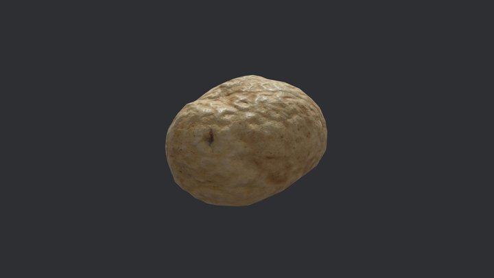 Peanut 3D models - Sketchfab