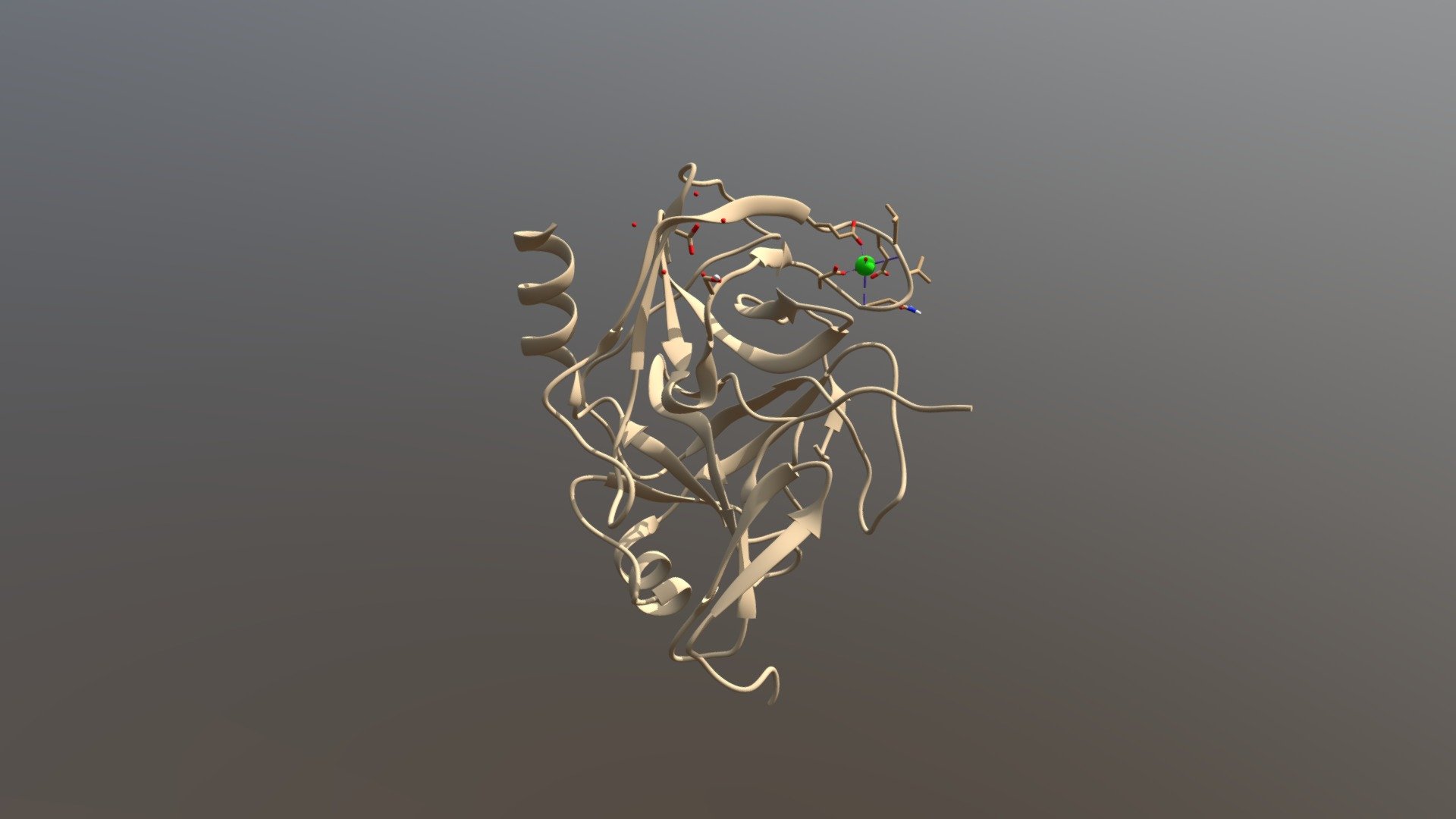 Bovine Trypsin with inhibitor SGPI-P02 - 3D model by Gergely Katona ...