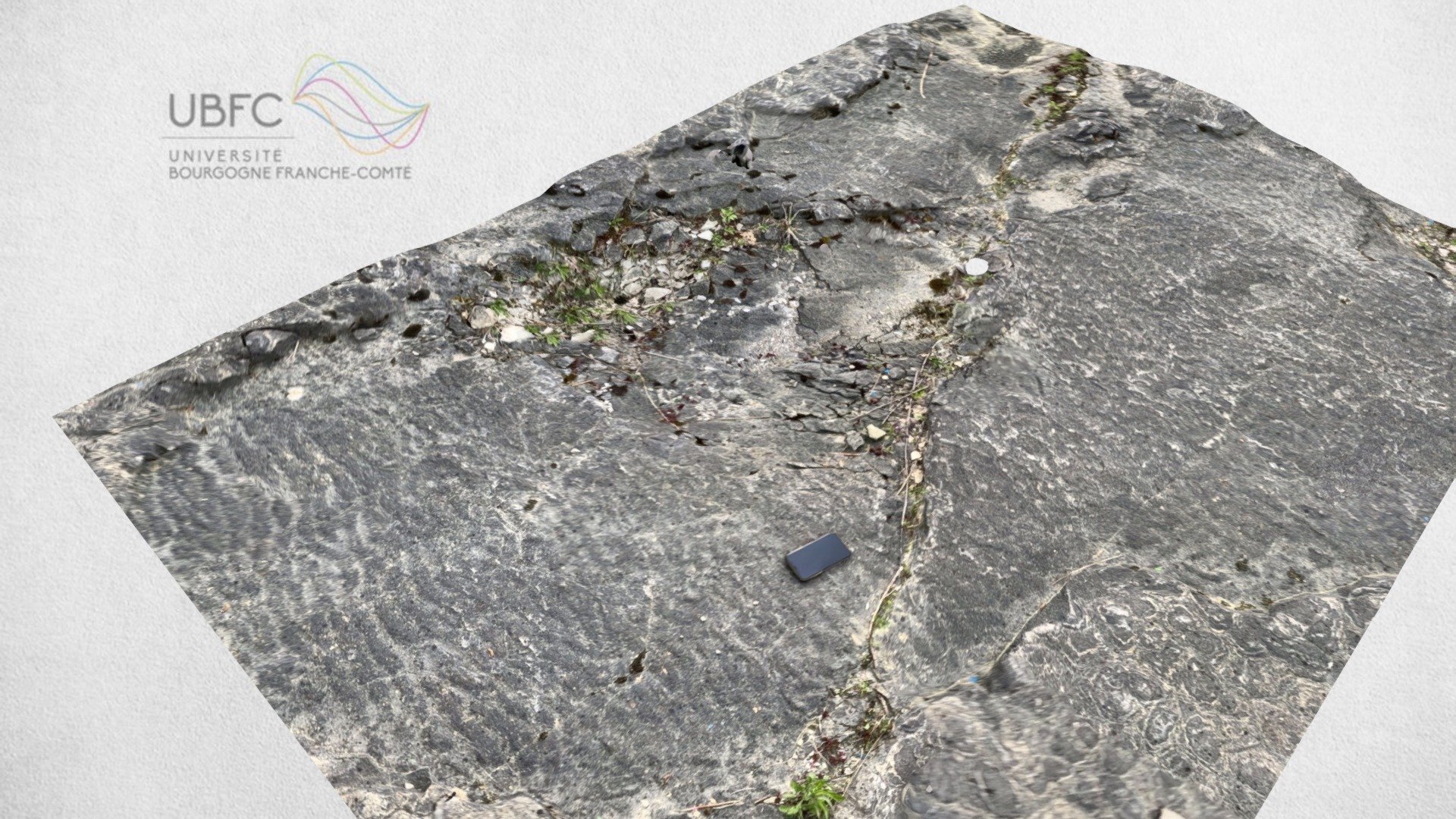 Ripple-mark - 3D model by Buoncristiani JF. (@jfbuon) [143e3dc] - Sketchfab