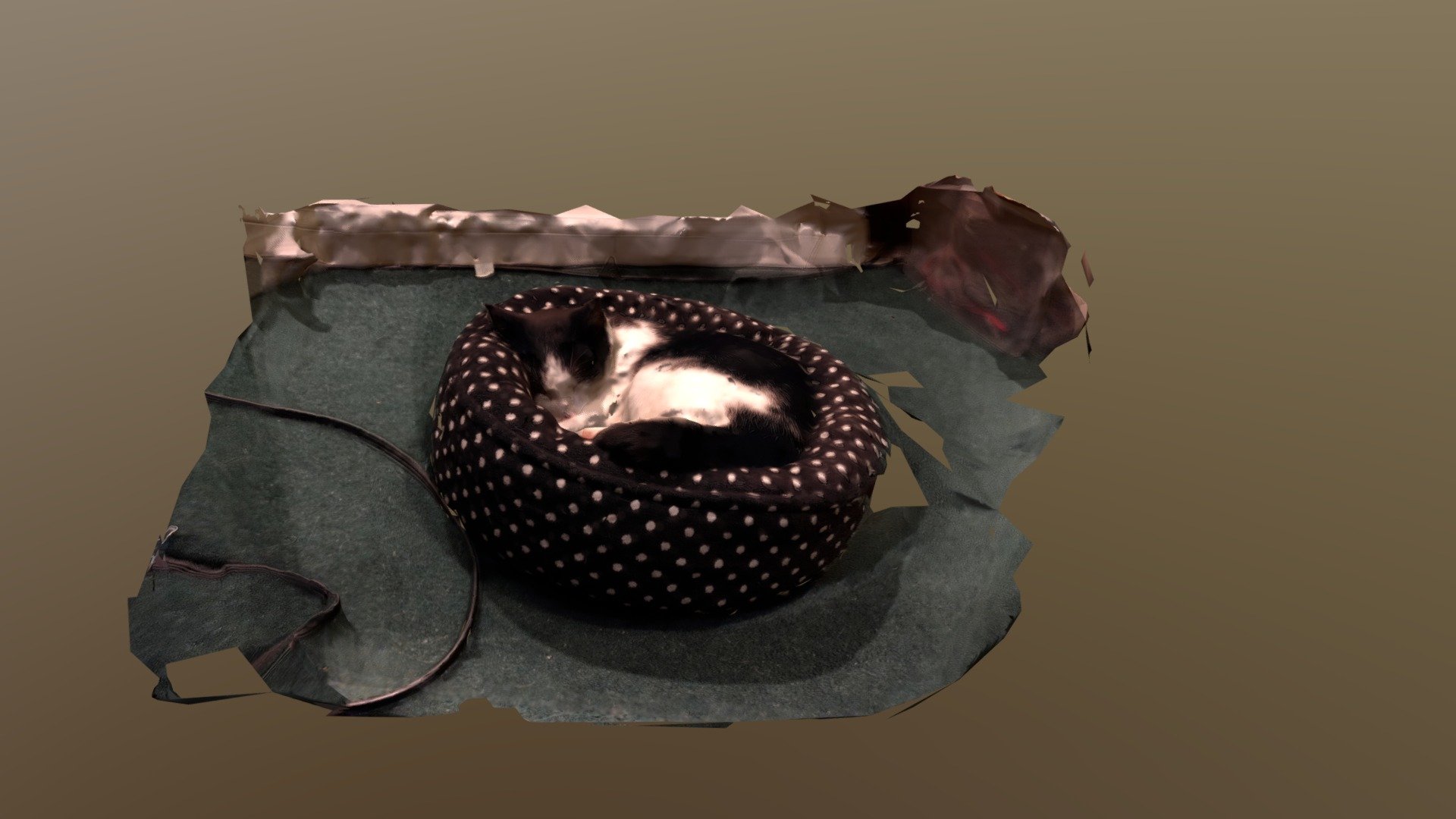 Spot - 3D model by sketchtabs [144130d] - Sketchfab