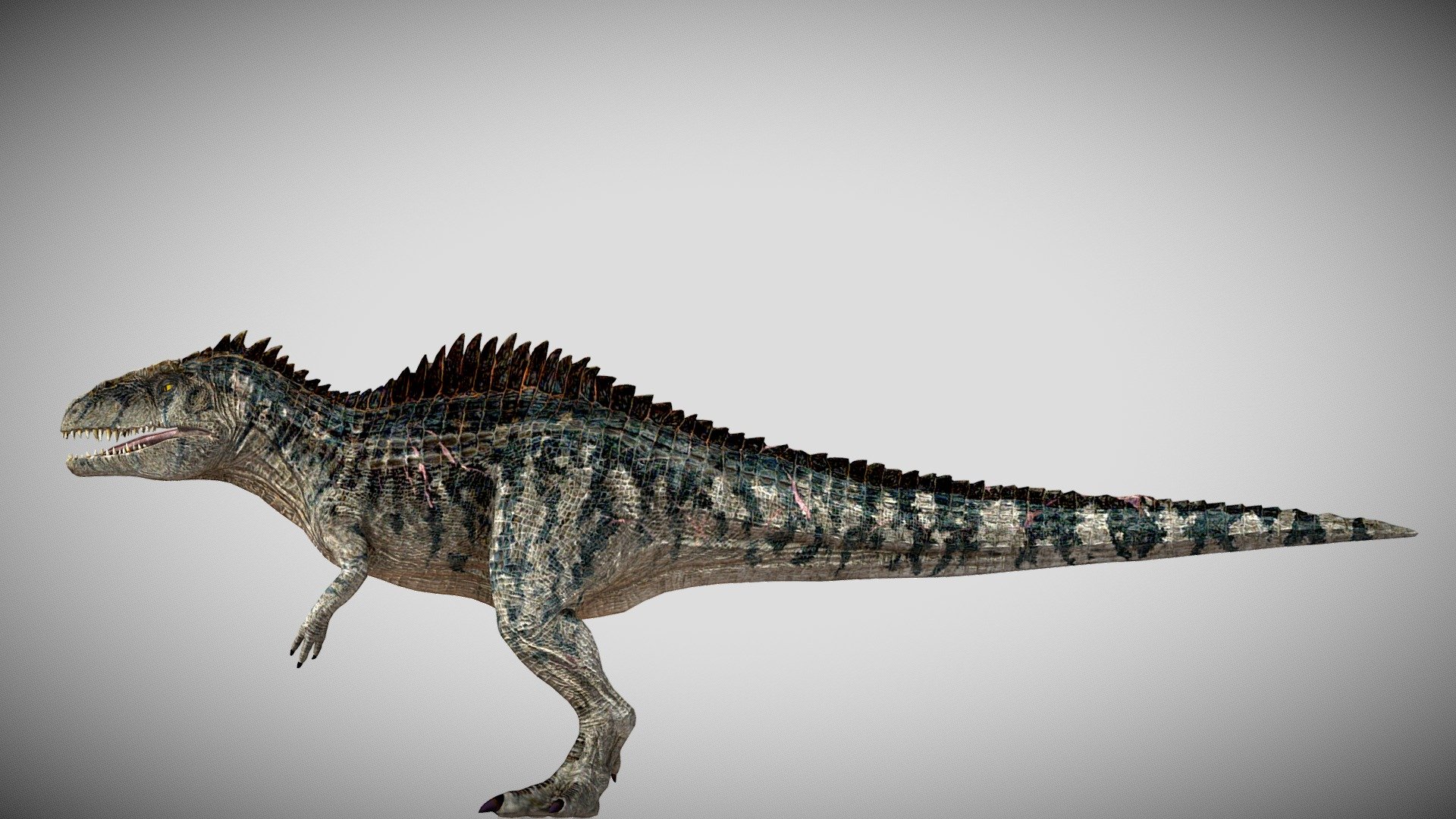 JWE3 Male Giganotosaurus - Download Free 3D model by AllThingsSaurus ...