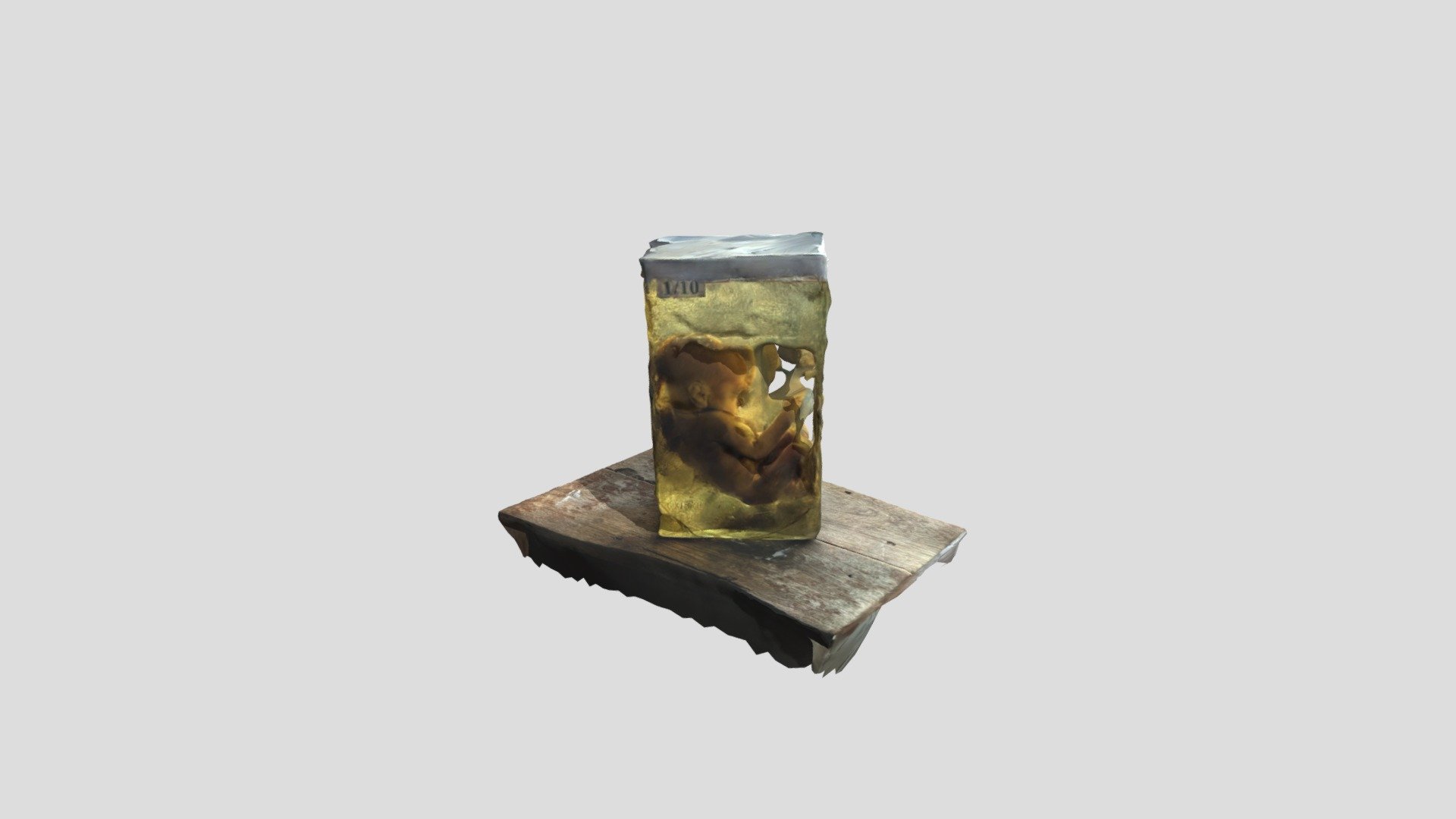 Poly (5) - 3D model by Anushapatil [1449fc3] - Sketchfab