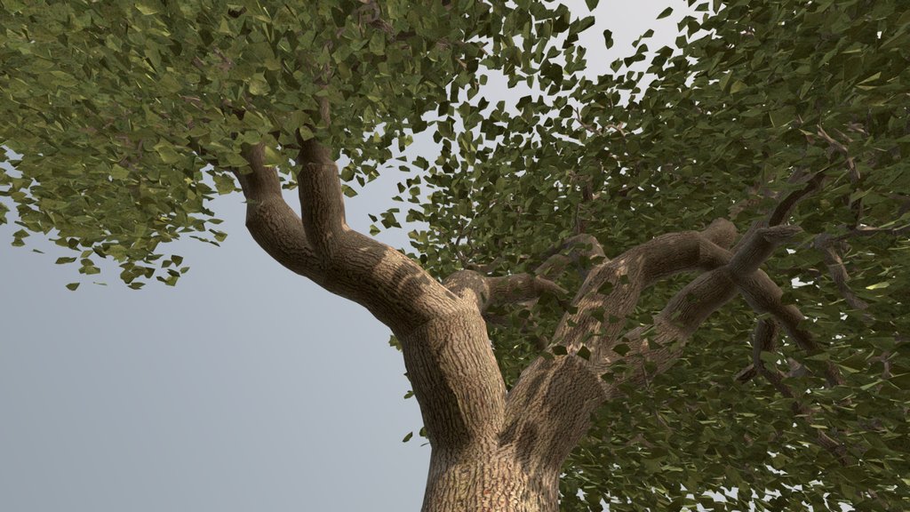 Trees high poly - A 3D model collection by Sereib - Sketchfab