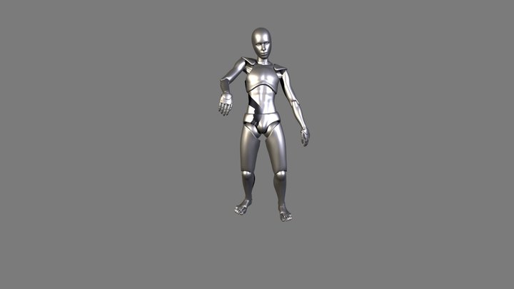Upper-body 3D models - Sketchfab