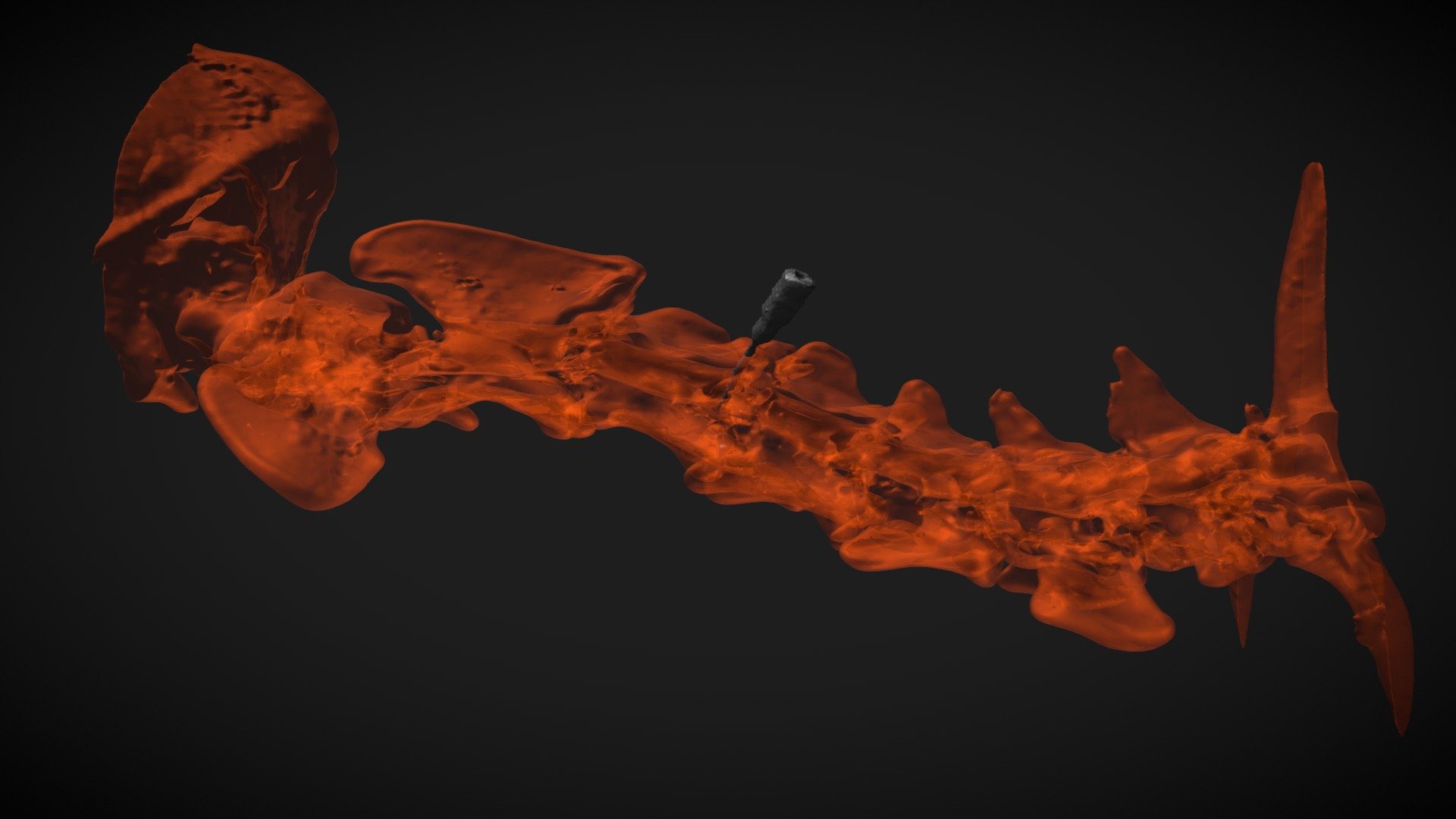 Needle through medullar channel - 3D model by Trauma Surgery Vet ...