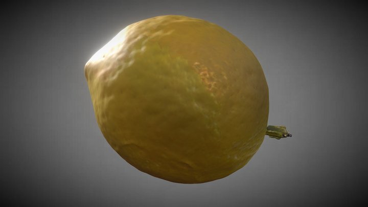 Lemon 3D models - Sketchfab