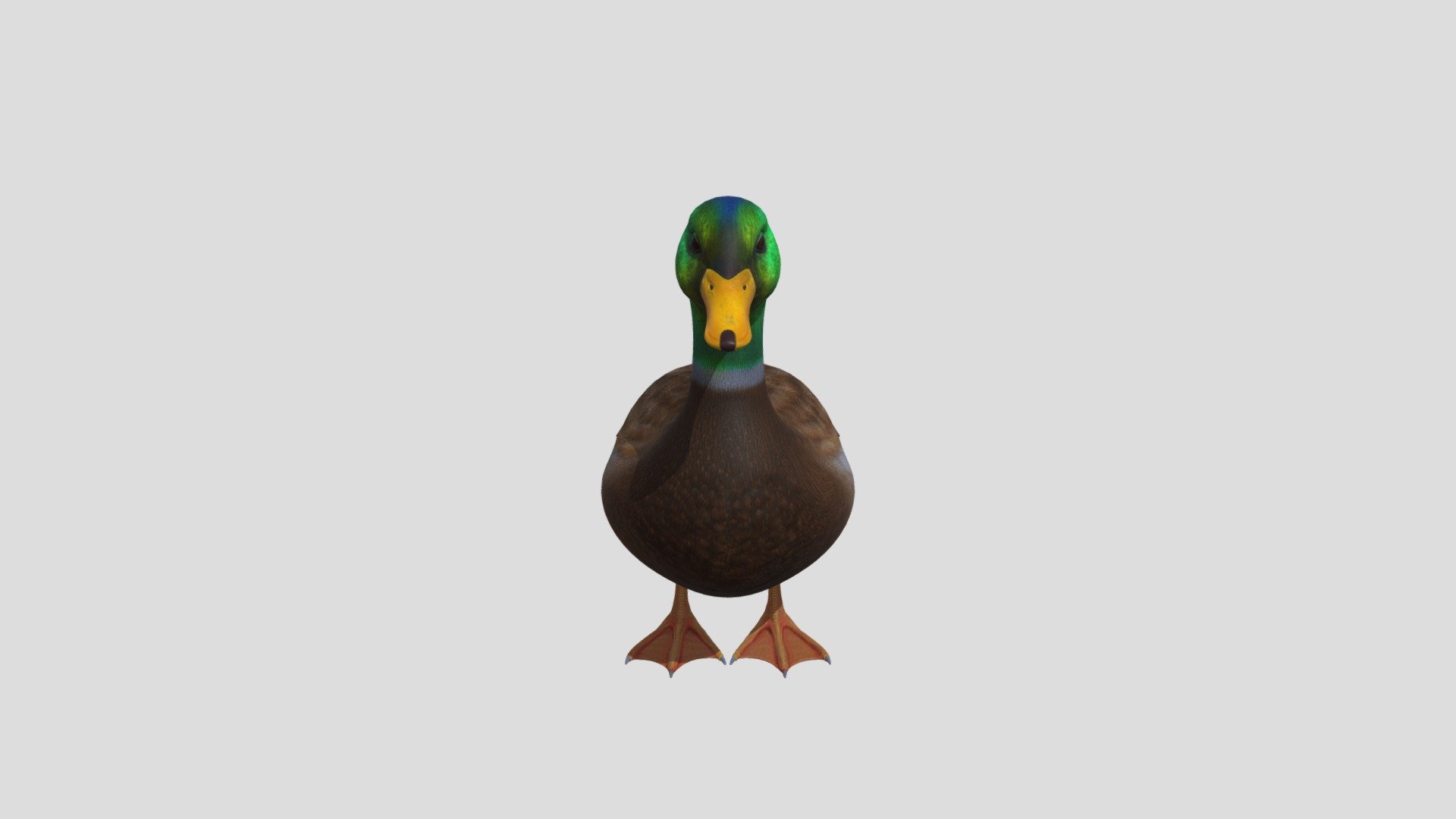 Duck - 3D model by 2711ddk12 [1457ce6] - Sketchfab