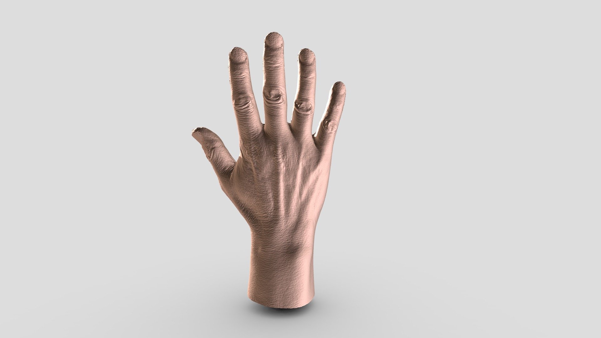 Hand - Download Free 3D model by Diana Liu (@Diana123456) [145bf73 ...
