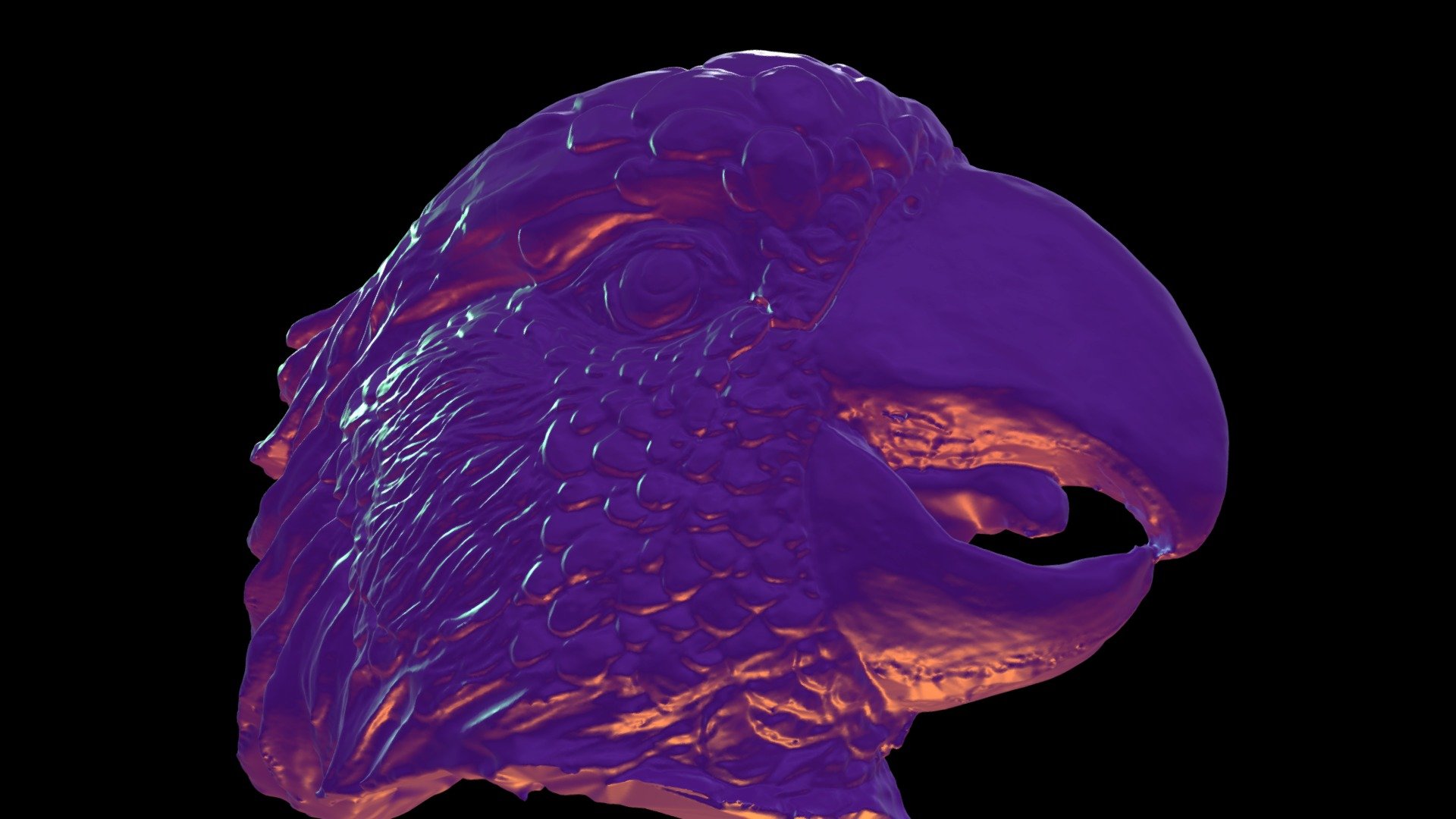 Parrot head - 3D model by Kentaurette (@Kerstinrules) [1460365] - Sketchfab
