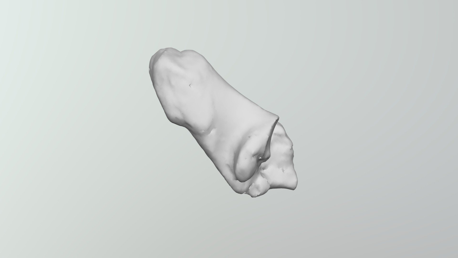 calcaneus_BONE - 3D model by thebadlizard [1465fea] - Sketchfab