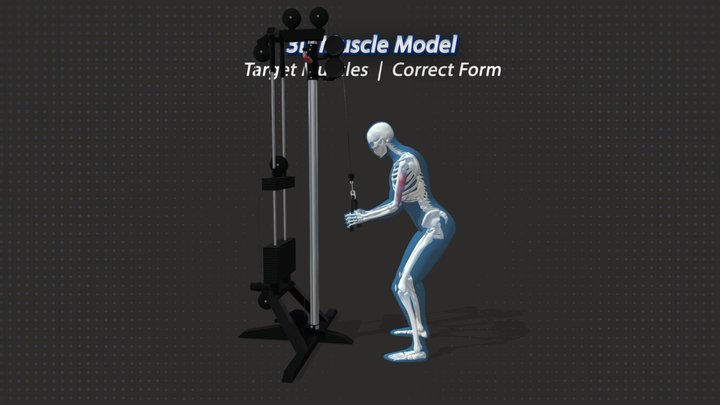 Gym-equipment 3D models - Sketchfab