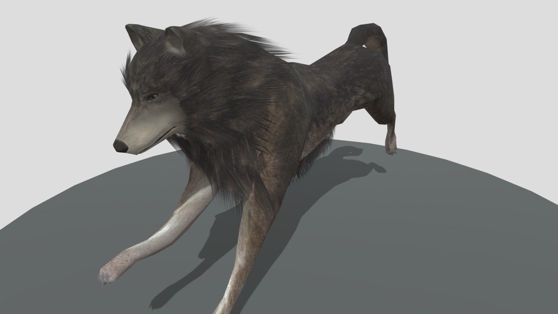 Wolf - Download Free 3D model by OBIDOV ABDURAZZOQ (@OBIDOVABDURAZZOQ ...