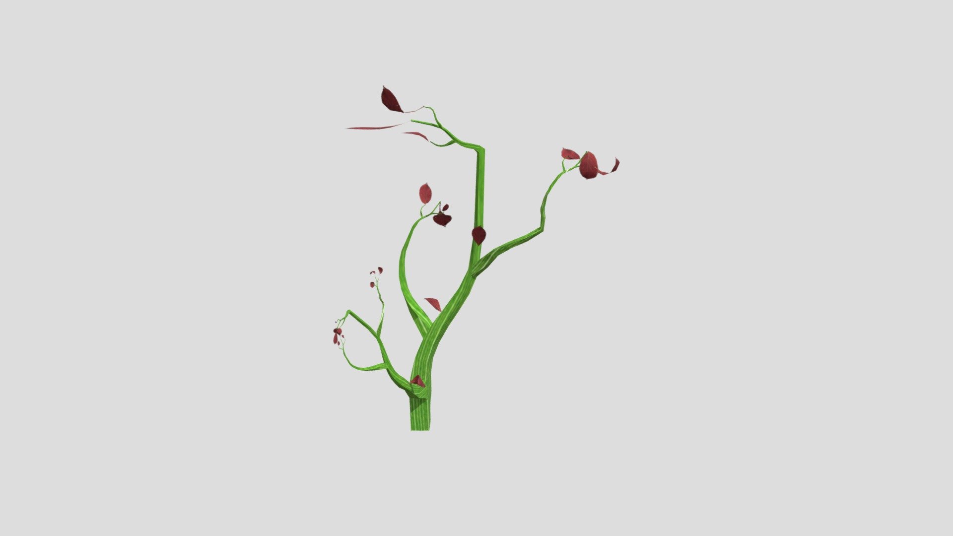 CGT116-A8-dylan Banks- Green Plant - Download Free 3D model by dill ...