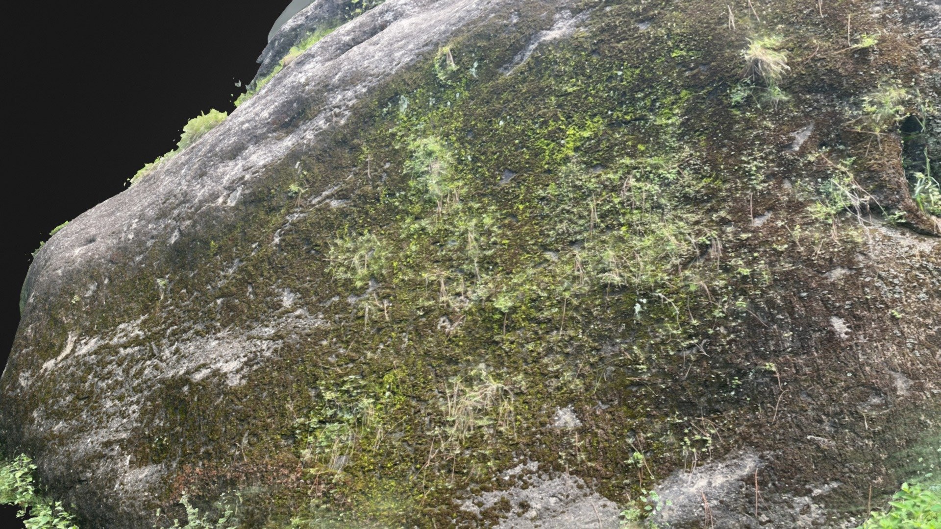 Mossy Rock_2 - Download Free 3D model by Asif Janjua (@asifjanjua ...