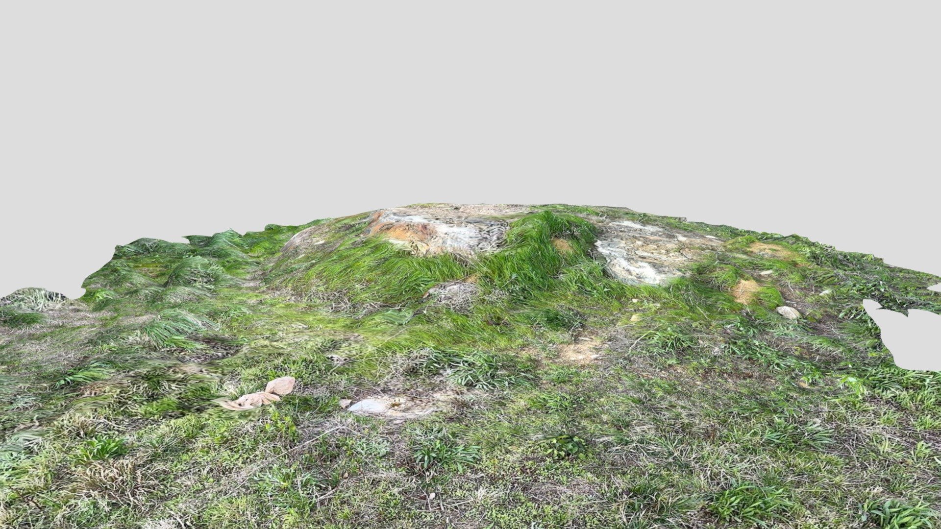 Rough terrain-poly - Download Free 3D model by Brent.Bowers [1469f04 ...