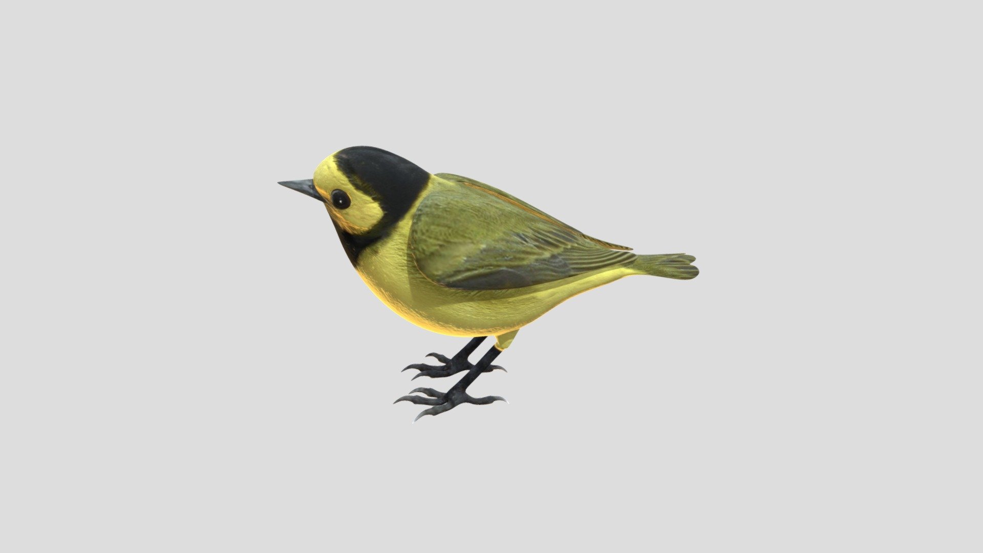 Bird - 3D model by 10732113 [146e8e4] - Sketchfab