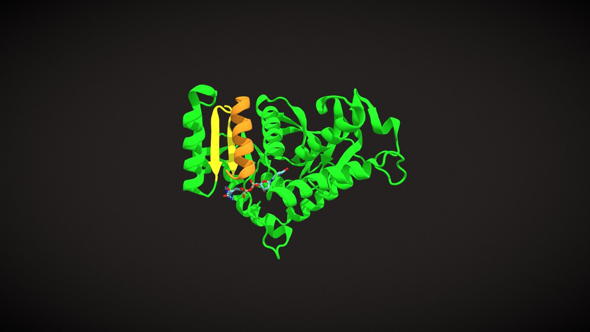 Beta Alpha Beta motif, Lactate Dehydrogenase - Download Free 3D model ...