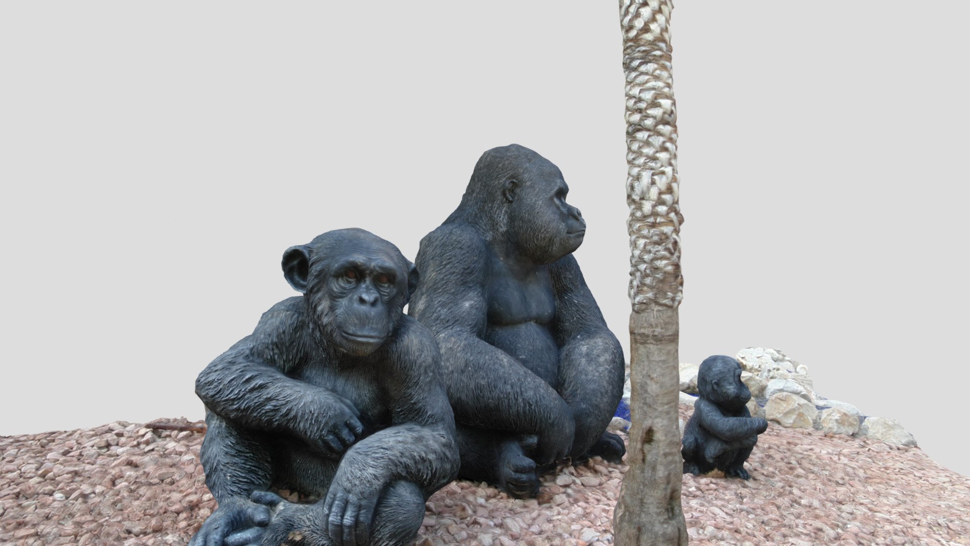Tropical_Monkeys - 3D model by csaba.singer [149199f] - Sketchfab