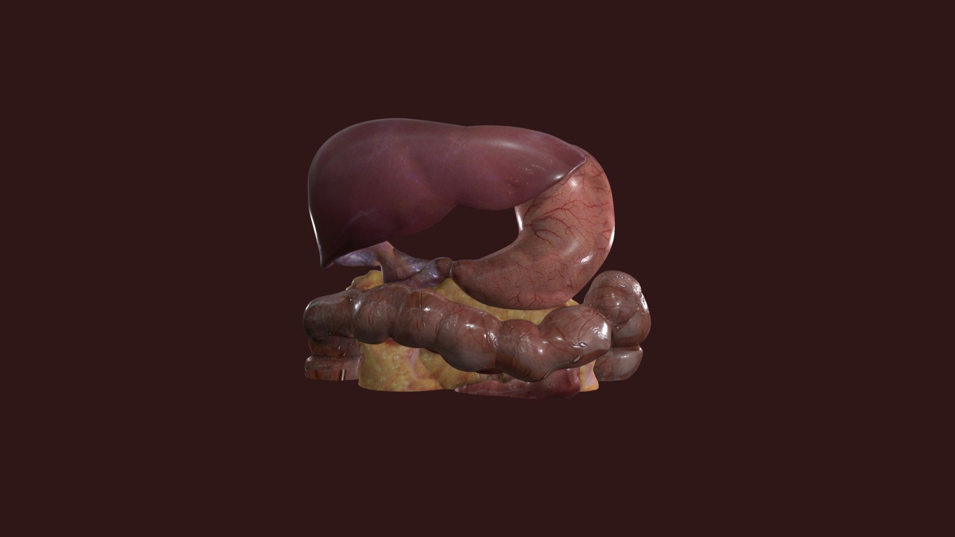 Photorealistic Organs for Laparoscopy - 3D model by Ariff Shah ...