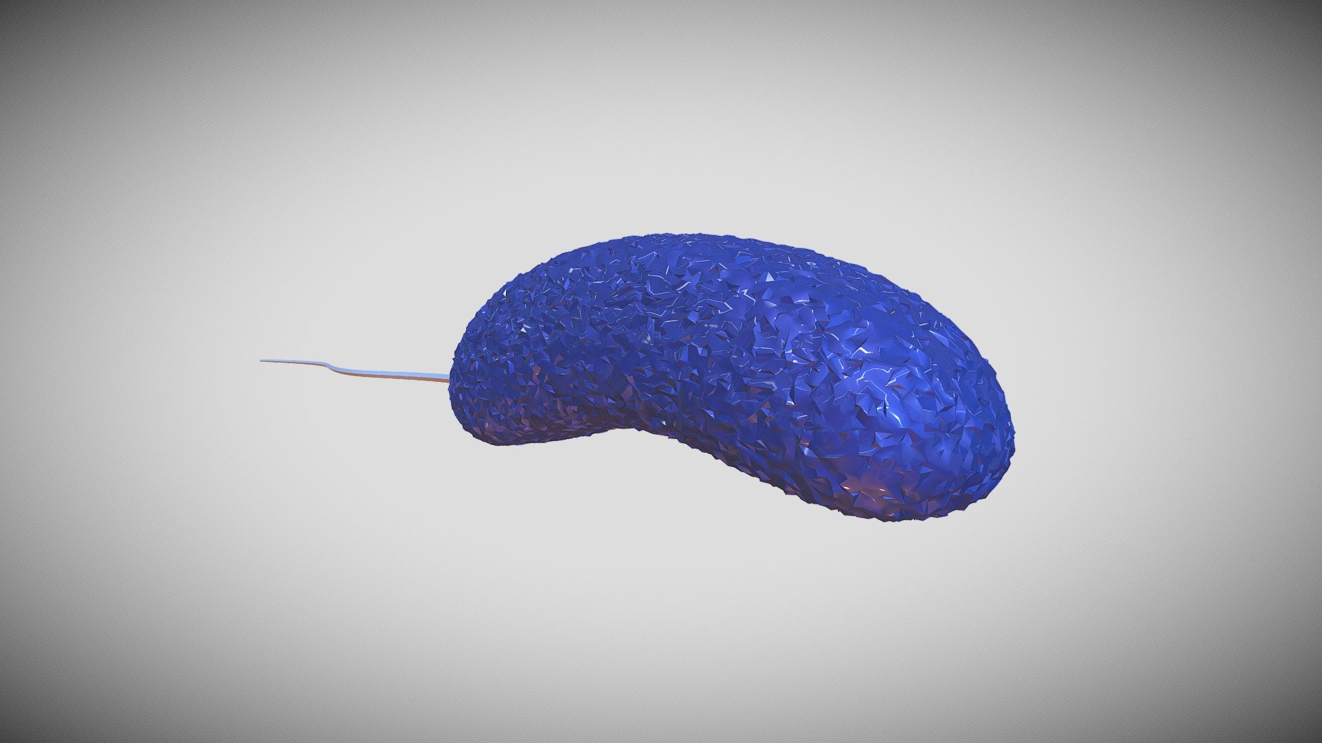 Vibro - Download Free 3D model by Kasey Portanova (@kaseyportanova2 ...