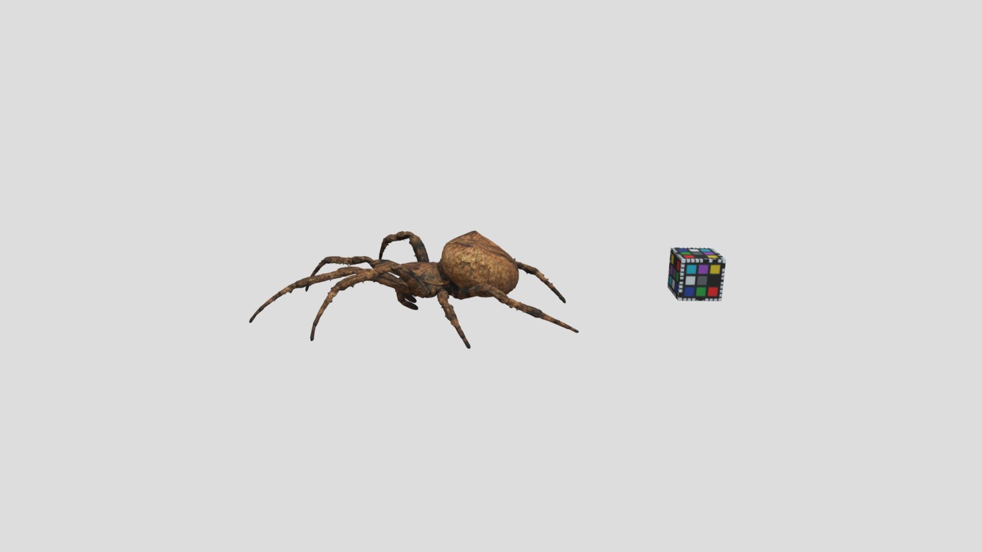 spider v3 - Download Free 3D model by takeshi10 [14a45f1] - Sketchfab