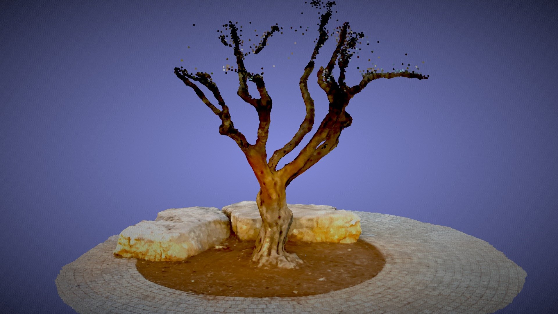 Photogrammetry Point cloud Tree - BH1 - Download Free 3D model by Moshe ...