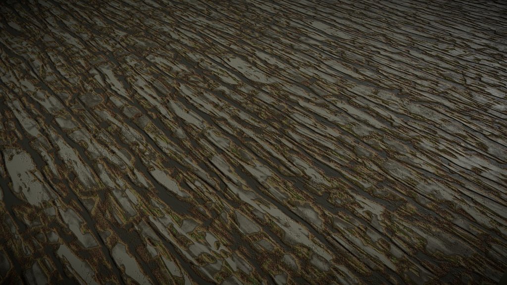 tree bark - 3D model by paulevans92 [14a92b7] - Sketchfab