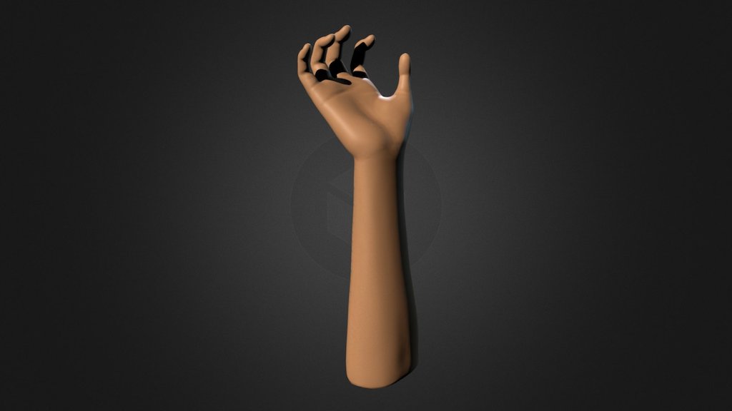 Textured Arm and Hand Drawing Reference Pose 04 - 3D model by DitchArt ...