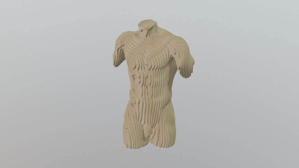 Male Torso original 22 deg - 3D model by Verboket [14b497a] - Sketchfab