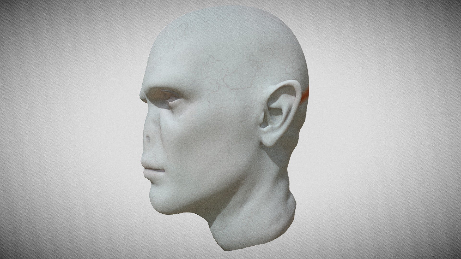 Lord Voldemort Head Model - 3D model by Kamiartzy [14b95b6] - Sketchfab