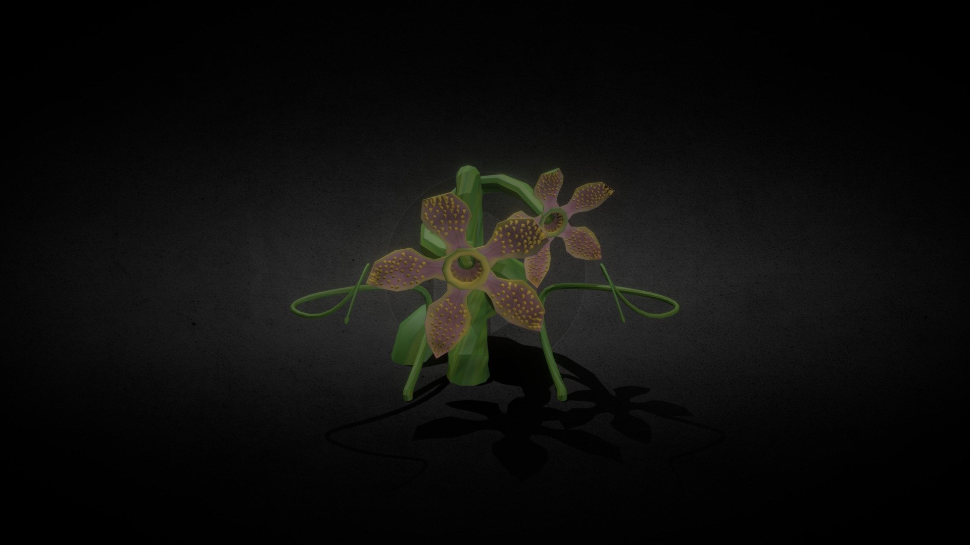 plantera - 3D model by clovis43 [14be5b9] - Sketchfab