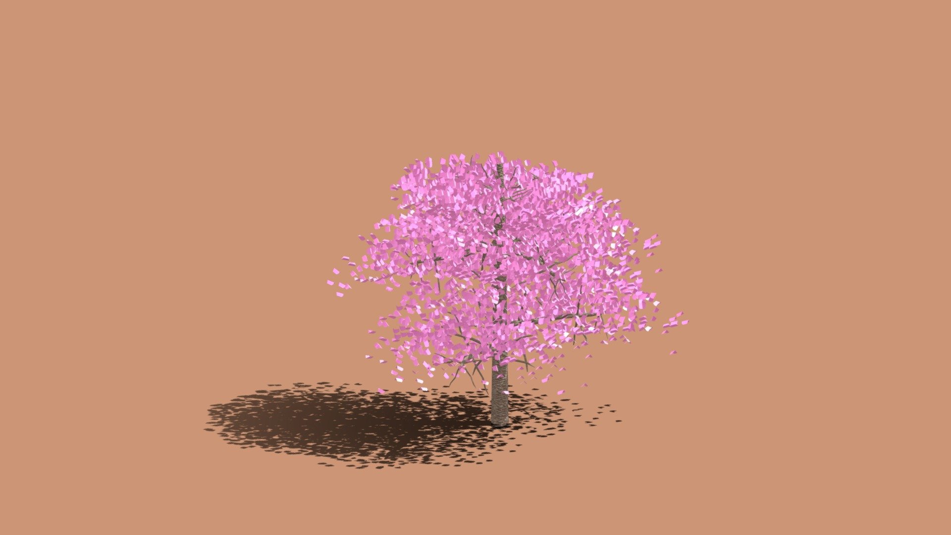 Cherry blossom tree proto - 3D model by Strega-264 [14c6401] - Sketchfab