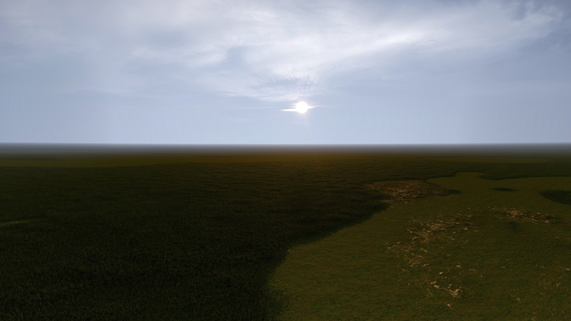 HDRI - SKY BOX 8K - PASTURE FIELD IN THE EVENING - Buy Royalty Free 3D ...