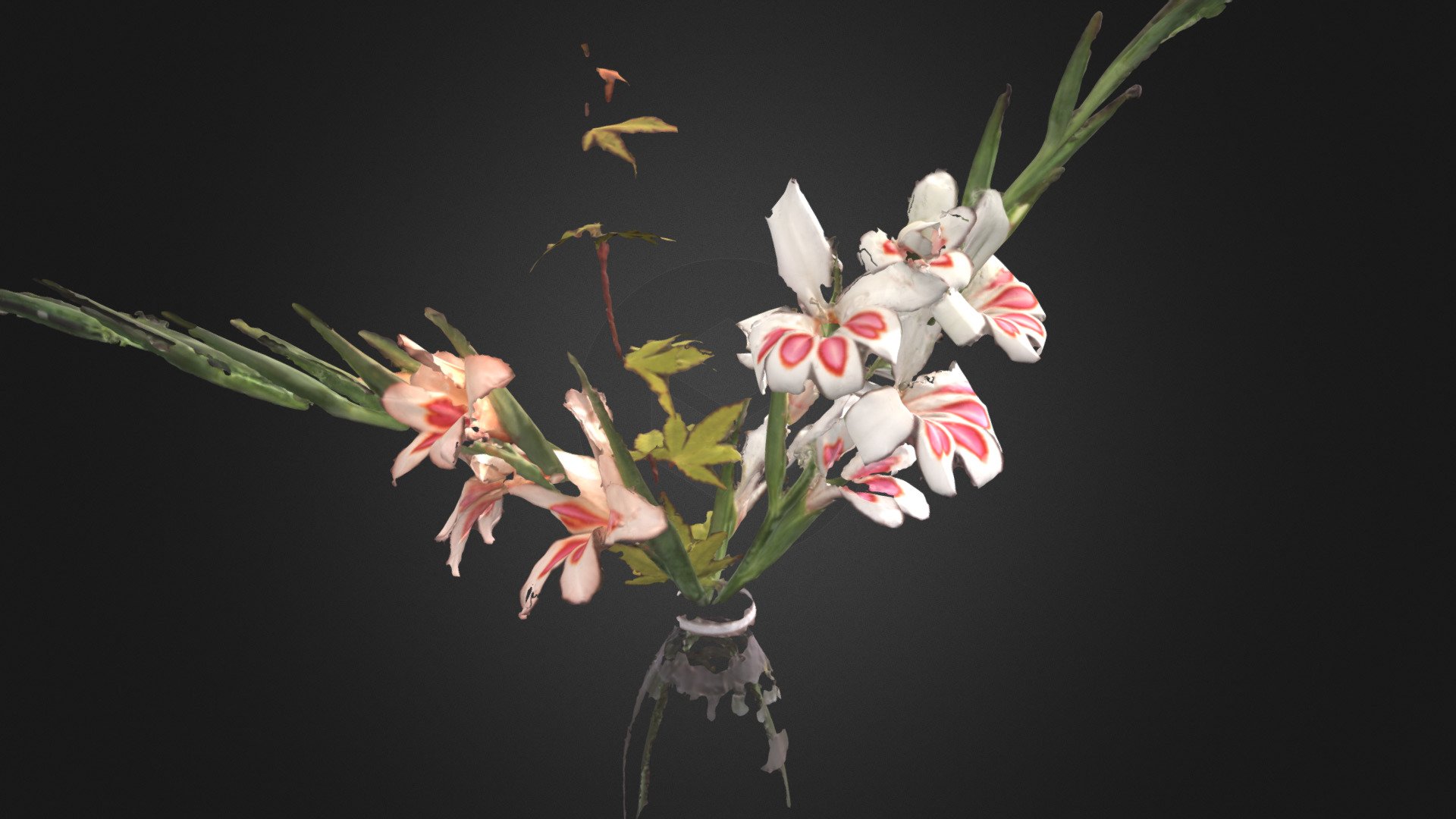 3D Scanned Sword Lilies (Gladiolus Nanus) - 3D model by ideabeans ...
