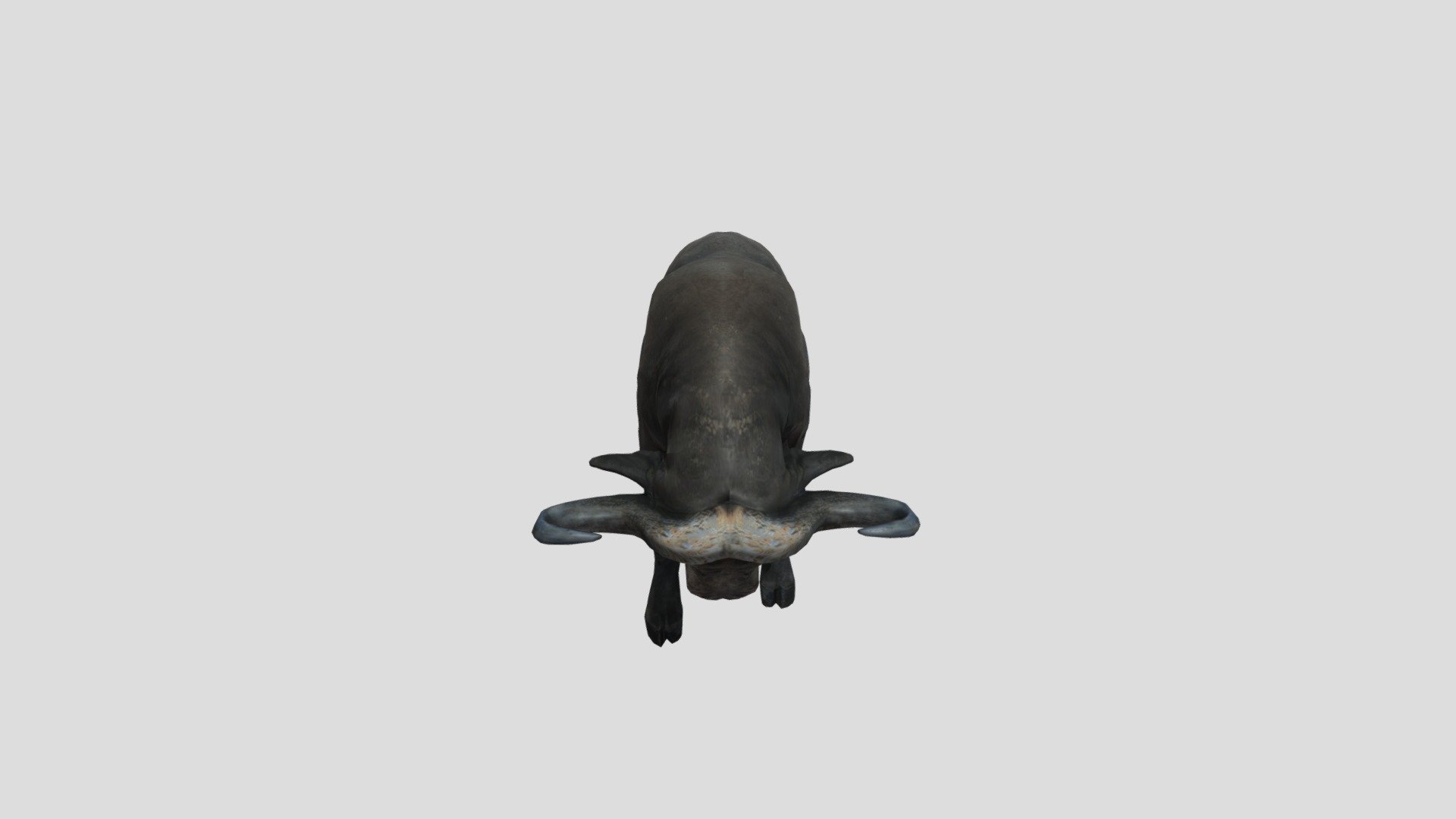 Buffalo - Download Free 3D model by hendrikReyneke [14d376d] - Sketchfab