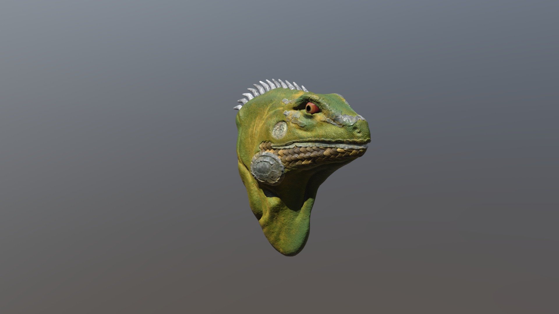 Low Fbx Skin UV 000 - 3D model by jing (@jingzd00344) [14e3017] - Sketchfab