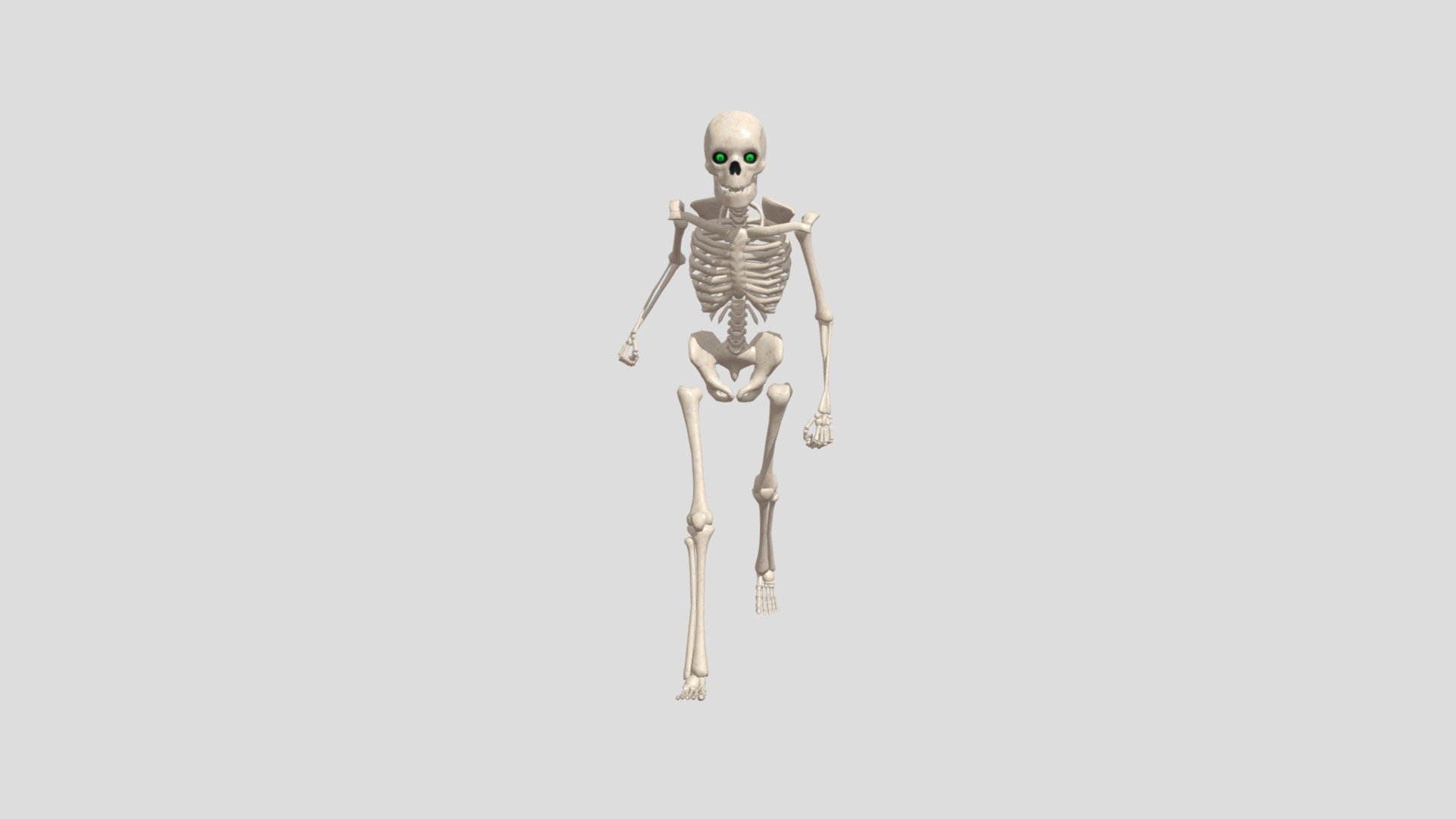 Skeleton - 3D model by gkkillzone [14e5715] - Sketchfab