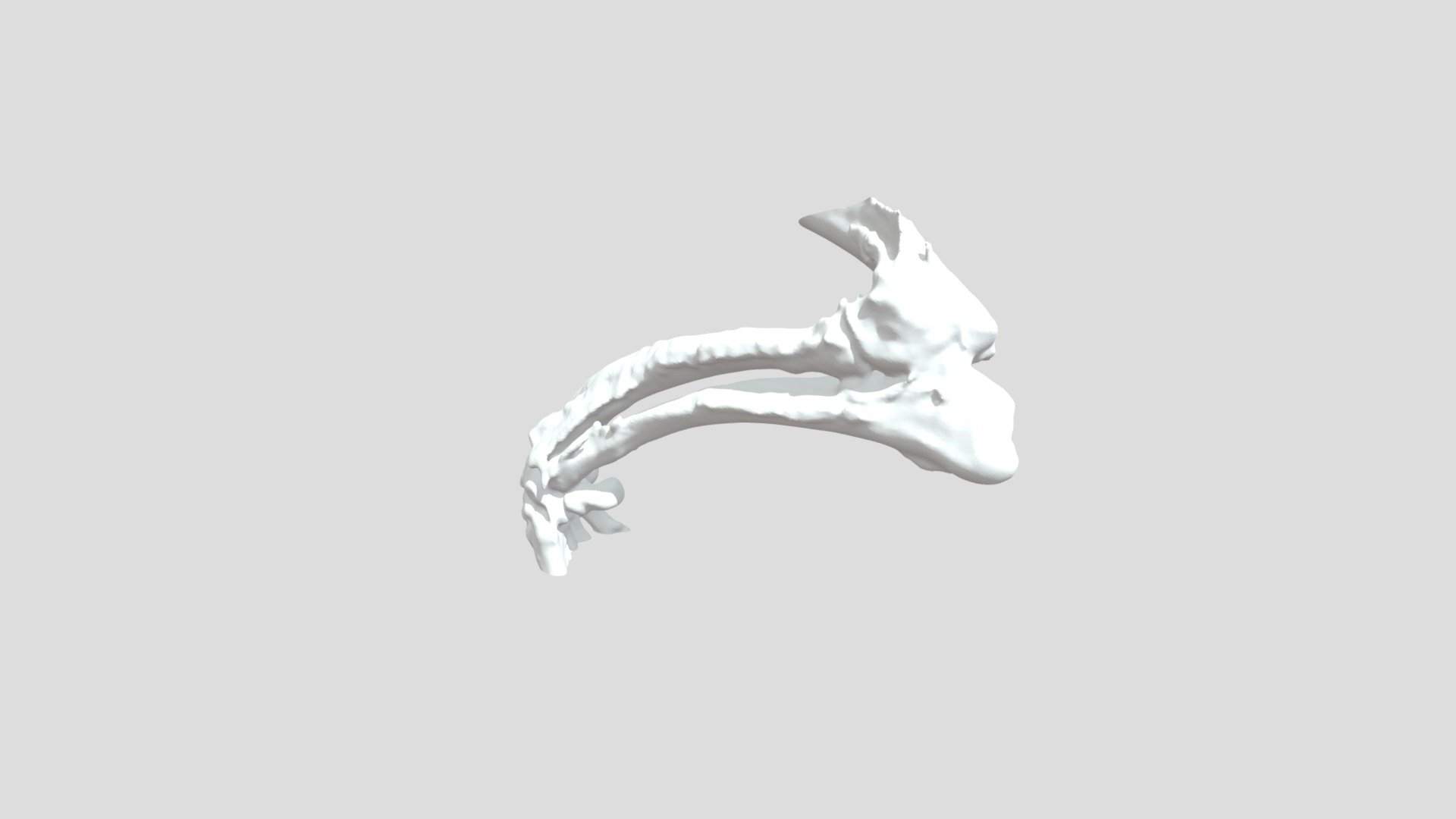 chisai - 3D model by Fofaly.VM [14eae7d] - Sketchfab