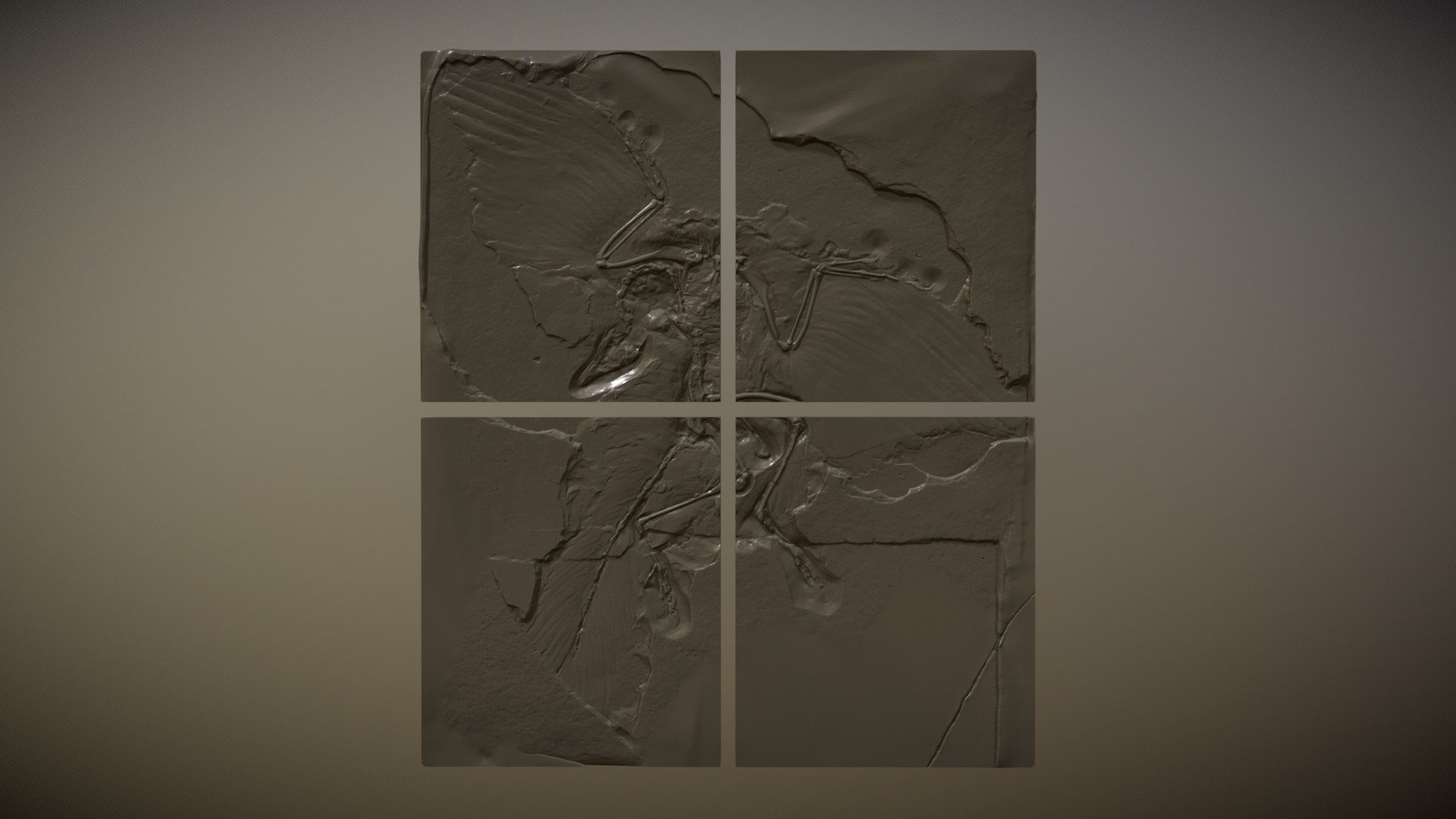 Archaeopteryx 4 sections for printing - Download Free 3D model by Adam ...