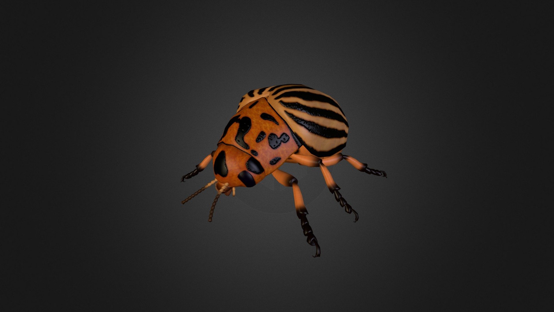 Beetle - 3D model by eagre (@eagreinteractive) [14ee9cd] - Sketchfab