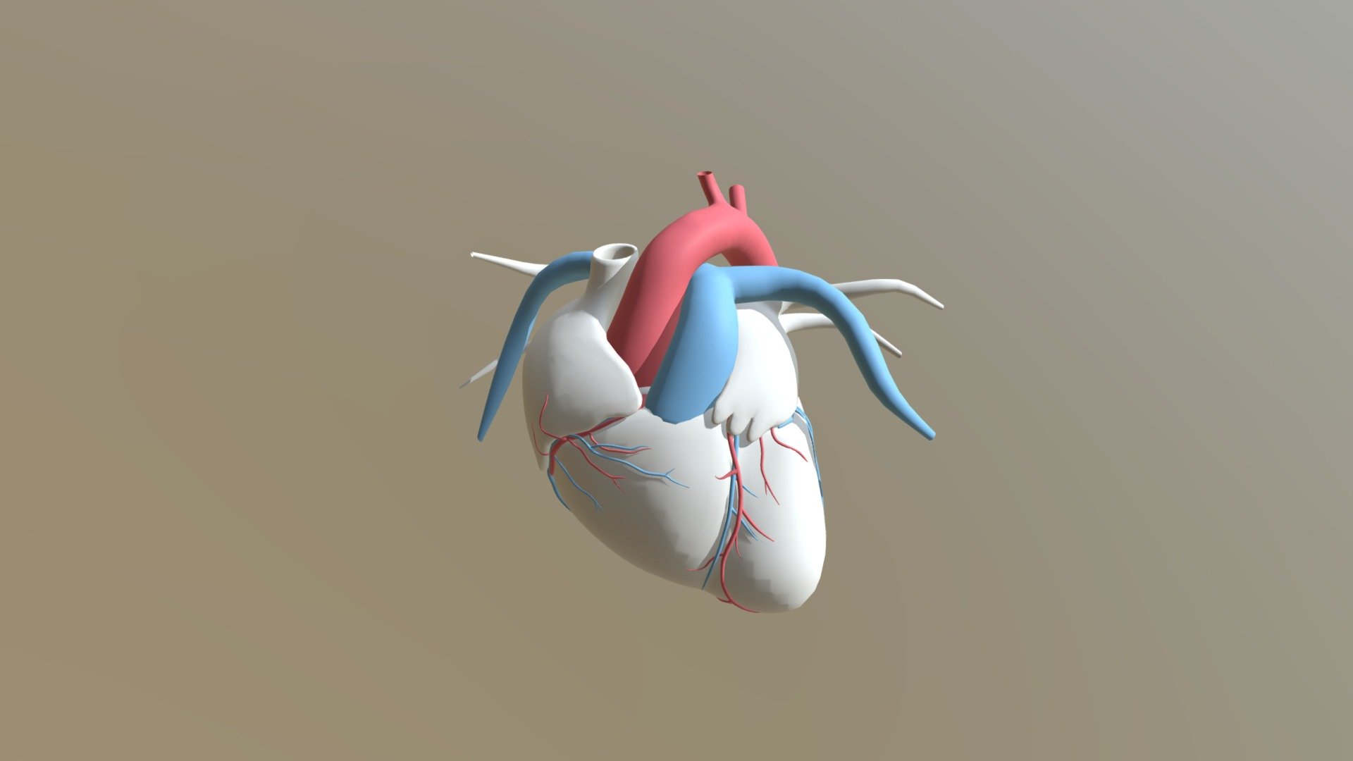 Heart - Normal - 3D model by rinordreshaj [14f735e] - Sketchfab