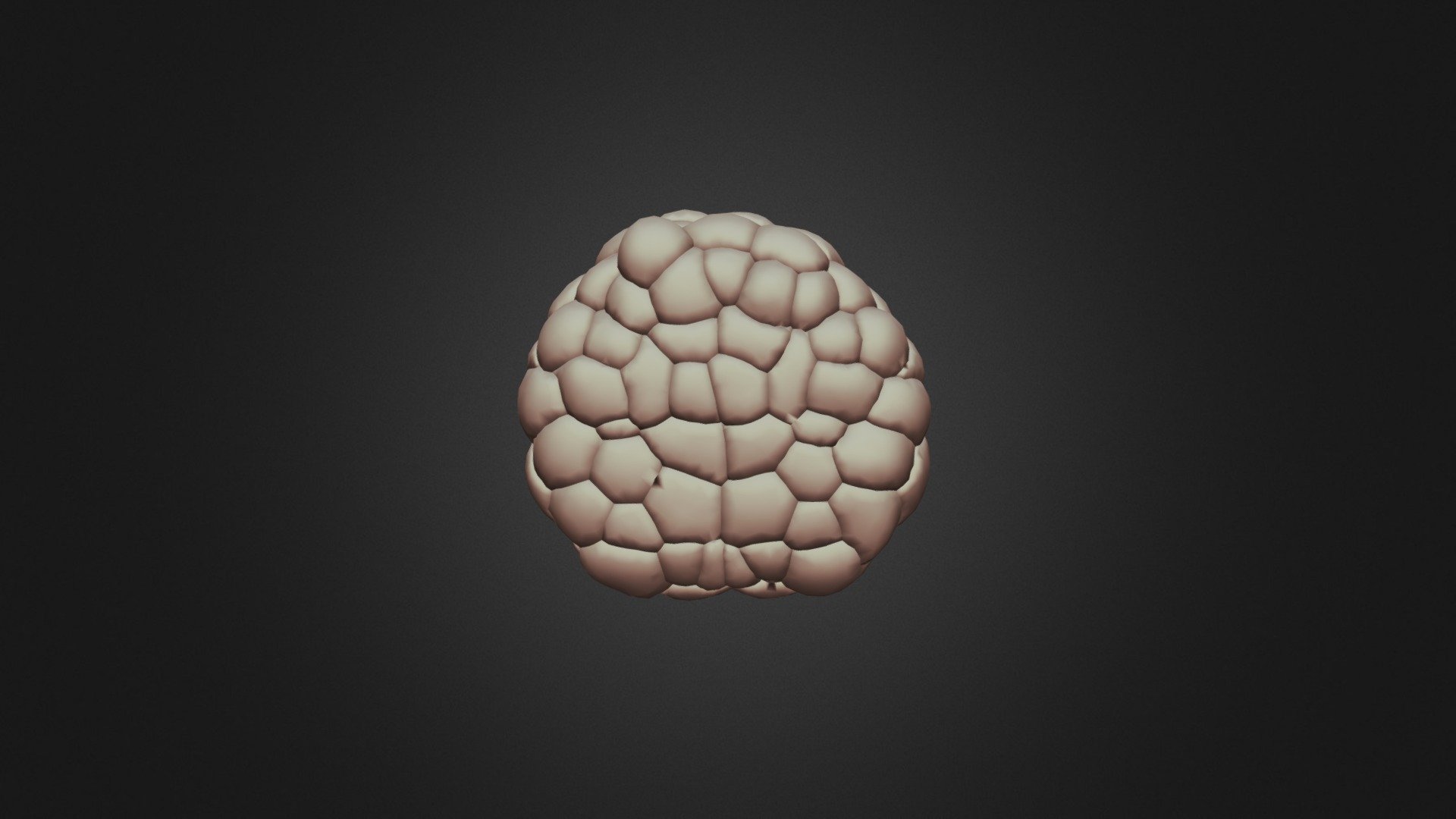 3D 76 cell stage phallusia_mammillata - 3D model by CNRS LBDV (@faisal ...