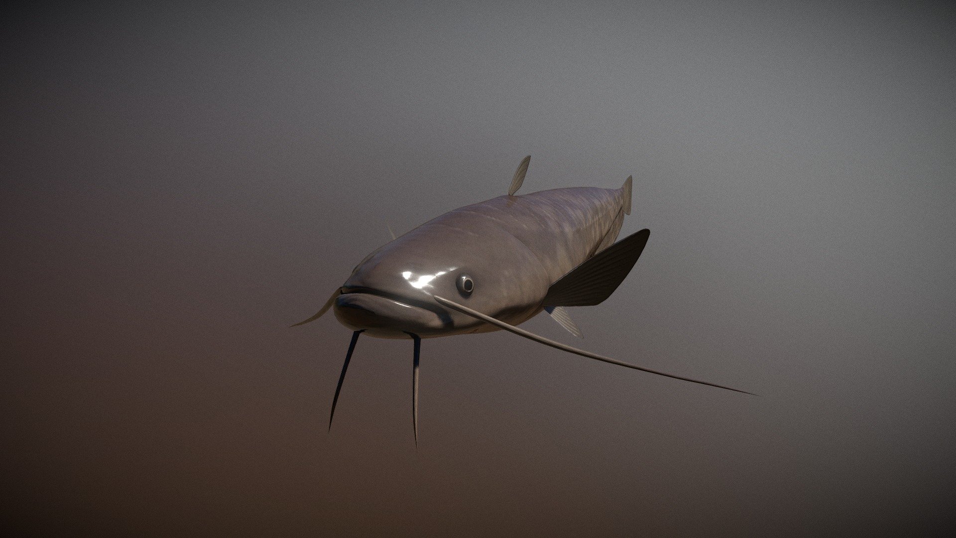 Catfish Game Asset Indonesia - Buy Royalty Free 3D model by ...